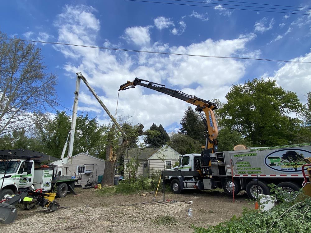 About - Parker Tree Services